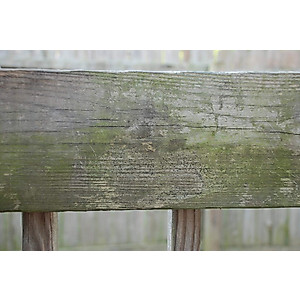 DEFY Wood Cleaner 2 LB