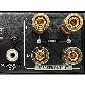 DYNASTY PROAUDIO WSA-5RP-PLUS Wireless Surround Sound Rear Speakers Kit with 2 x 50W (8 ohms Loaded) / 2 x 100W (4 ohms Loaded) Amplifier Built-in (Metal Chassis Design)