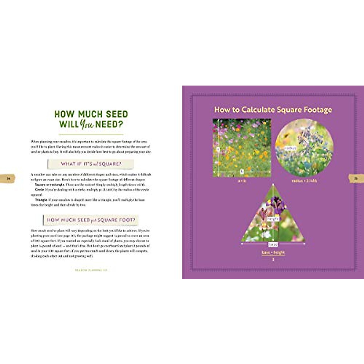 Mini Meadows: Grow a Little Patch of Colorful Flowers Anywhere around Your Yard