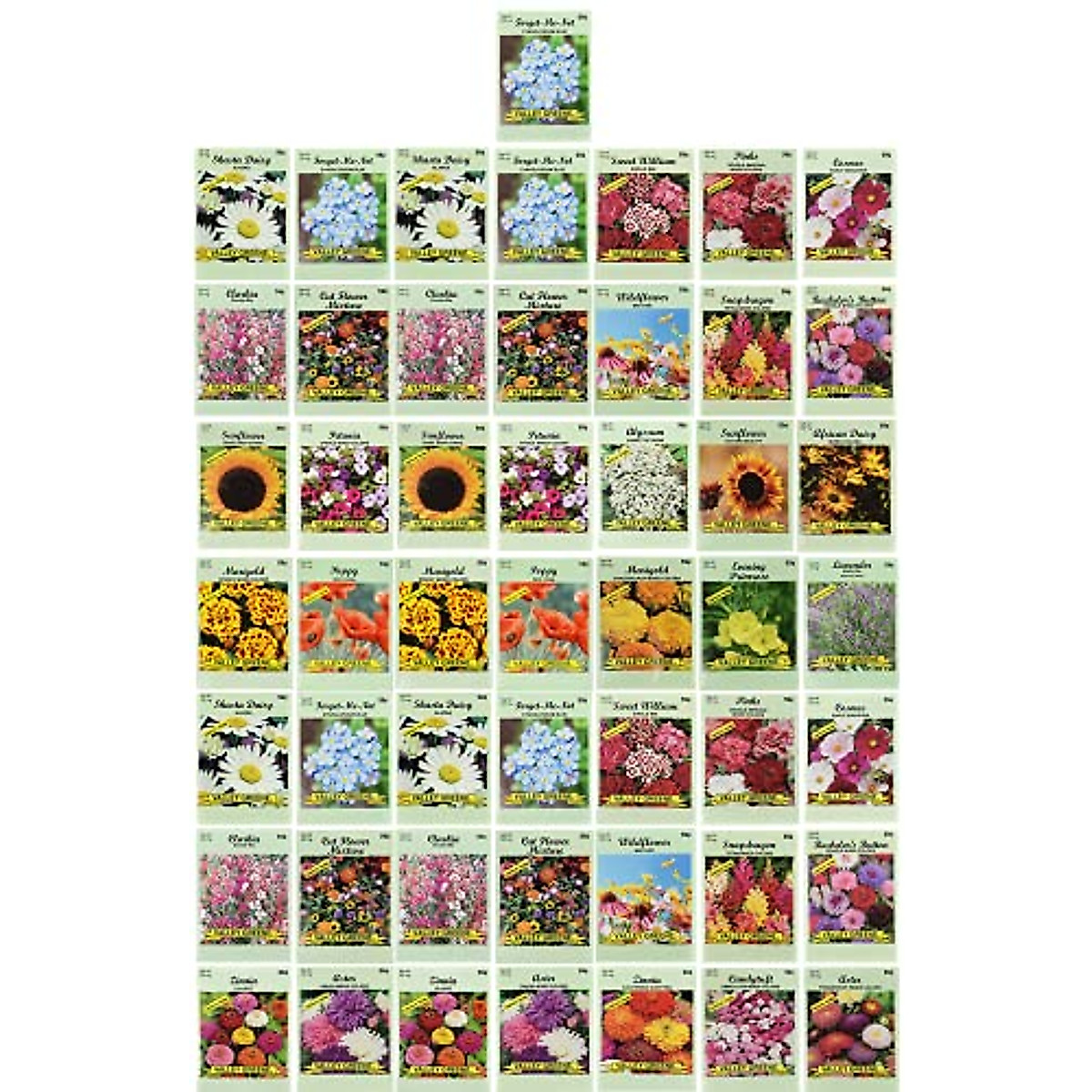 Set of 50 Flower Seed Packets! Flower Seeds in Bulk, 15 or More Varieties Available!