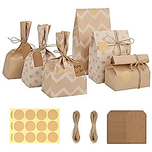 Swedin 24 Pcs Paper Goodie Bags for Cookies, Party Favor Bags, Paper Treat Bags for Candies, Cookies etc.[8 Each of Chevron, Dots, Solid]