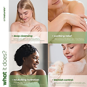 Artnaturals Tea Tree Body Wash, 12 Ounce