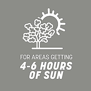 Pennington Contractors Grass Seed Mix Northern Mix 40 lb