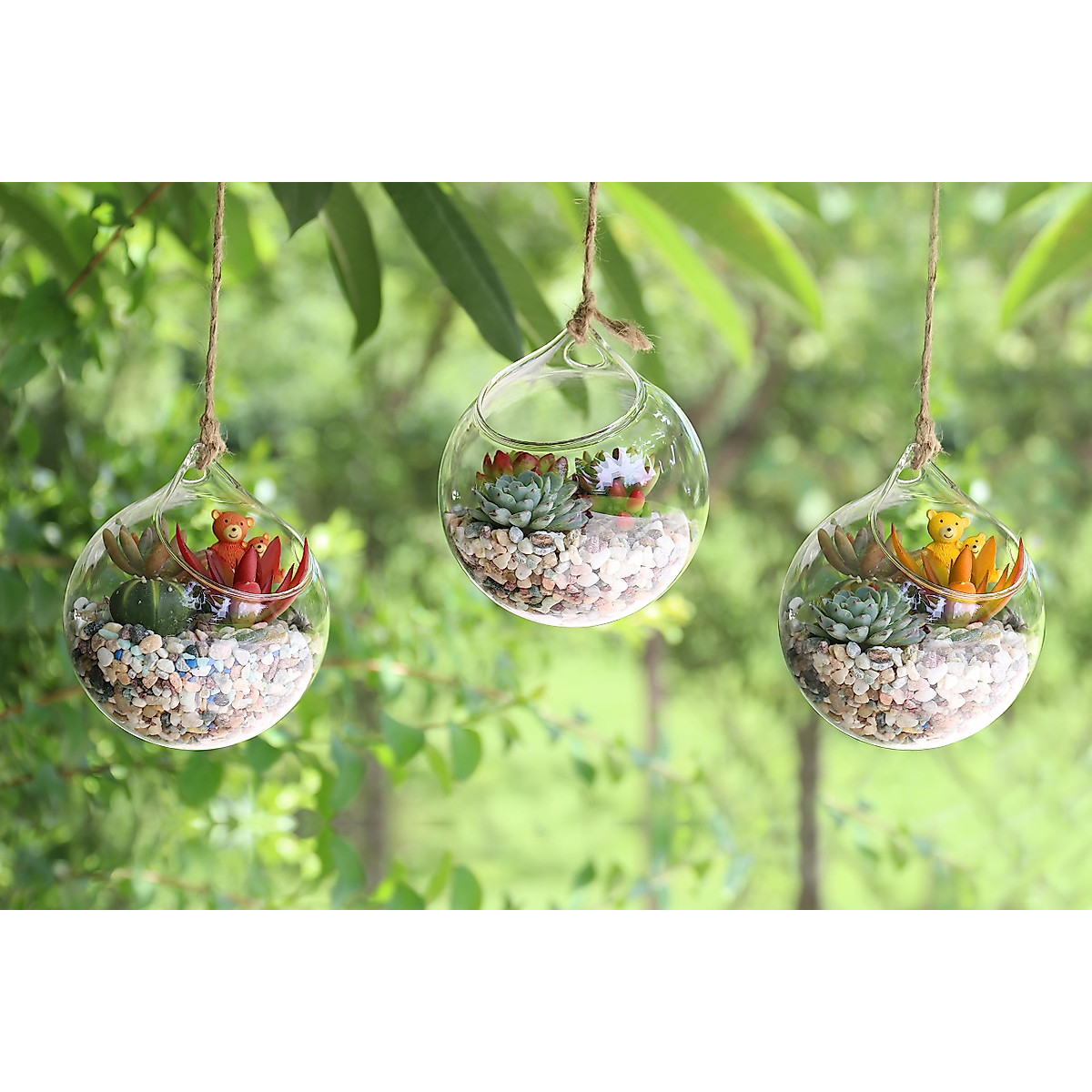 Ivolador Hanging Plants Glass Terrarium Container 4.7 Inches Air Plant Holder Succulents Globe Shape Home Garden Décor- 3 PCS