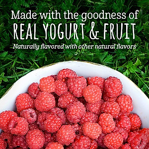 Gerber Graduates Fruit & Veggie Melts - Truly Tropical Blend, 1-Ounce (Pack of 4)