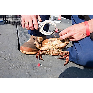 AirFly Crab, Lobster Claw Rubber Band Pliers (Bands not Included)