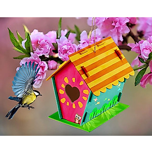 GARDWENS DIY Bird House Kit for Kids, 2 Pack Big Wooden Birdhouse Kits Build and Paint Creative Arts Crafts Hanging Kit Suitable for Girls Boys Age 3-12 Activities Decoration