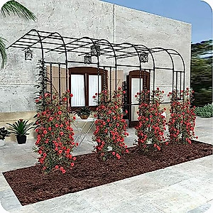 Half Side Wall Mounted Garden Archway,Half Arch Rose Arch,Pergola Climbing Aid Trellis Archway for Climbing Plants,Half Rose Arch for Indoor,Outdoor,Garden Lawn,Wedding (Color : White, Size : 0.6X24