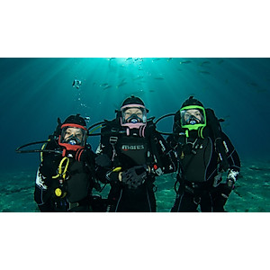 OTS Guardian Full Face Mask (Black Skirt/Black Hardware)