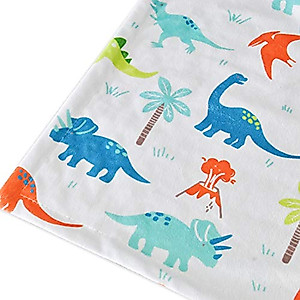 HOMRITAR Baby Blanket for Kids Super Soft Minky Blanket with Dotted Backing, Toddler Blanket with Dinosaurs Multicolor Printed 30 x 40 inch(75x100cm)