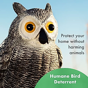 Fake Owl Decoy and Bird Deterrent - Plastic Owls to Scare Birds Away - Effective Bird Deterrent Devices as Scarecrow for Garden - Bird Repellent Devices Outdoor. Keep Birds Away!