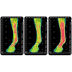 Vita Flex Thermaflex Liniment Gel for Sore Muscles and Joint Relief in Horses 12 Fluid Ounces