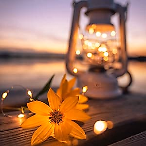 koopower 2X 50 LED Orange Battery Operated Fairy Lights with Remote Control 16ft Christmas Lights for Tree, Thanksgiving, Garden, Wedding, Bedroom Outdoor Decoration