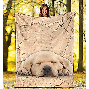 SATIGI Cute Face Labrador Fleece Blanket Cute Labrador Blanket Dog Print Fleece Blanket Fluffy Throw Blanket for Adults, Women,Baby,Kids for Sofa Bed Holiday Birthday Thanksgiving Gifts