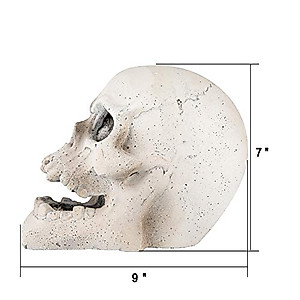 Stanbroil Fire Pits 9" Imitated Human Skull Decoration for Indoors Outdoors Campfire, Fireplace, Halloween Party Decor, 1 Pack - Patent Pending White
