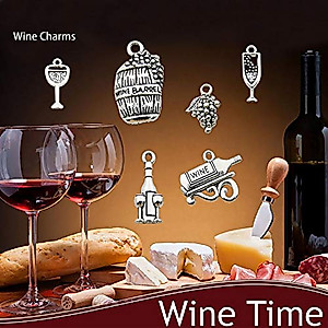 WOCRAFT 50 Sets Craft Supplies Wine Glass Charms Markers Wine Tasting Party Decoration Supplies Gift with 25mm Strong Stainless Steel Wine Glass Charm Rings (M307+10575)