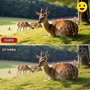 W2112A Magenta Toner Cartridge (with Chip) ,206A High Capacity Toner Cartridge, Compatible for M255nw MFP M283cdw MFP M282nw MFP M283fdn MFP M283fdw M255dw Printer (2 Pack/Magenta)