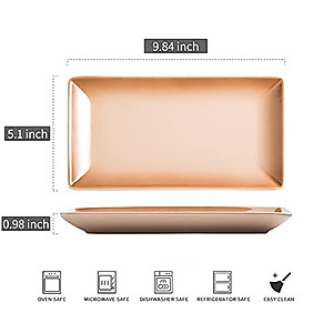 Rectangular Serving Platter, Perfect for Entertaining, Oven Dinnerware Safe Serving Tray for Party, Sushi 9.8 inches Christmas Serving Dishes and Platters, Set of 2, Brown