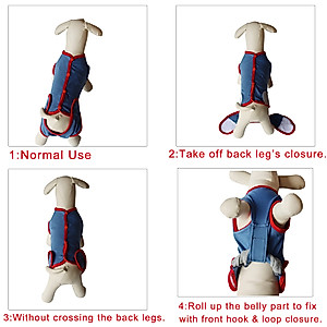 JoyDaog 2Pcs Dog Surgery Recovery Suit Substitute E-Collar & Cone,Recovery Onesie Puppy Surgical,Cat Recovery Shirt Dog Wounds Bandages Prevent Licking Dog,S