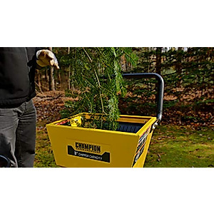 Champion Power Equipment 200905 3-Inch Portable Chipper-Shredder with Collection Bag