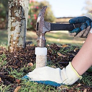 Jobe's, Fertilizer Spikes, Evergreen Tree, 15 Count, Slow Release, Cypress, Juniper, Magnolia