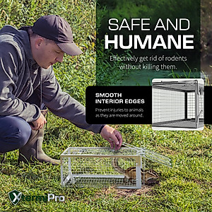 Live Animal Trap Cage 2 Pack -12.5" x 6.5" x 5.5" Humane Rat Trap, Chipmunk Trap, Squirrel Trap, Rodent Trap-Catch and Release-Heavy Duty Reusable No Kill Live Trap for Small Critters - Indoor/Outdoor