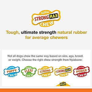 Nylabone Strong Chew Cone Stuffable Chew Toy Bundle for Dogs Vanilla & Bacon Medium/Wolf (2 Count)
