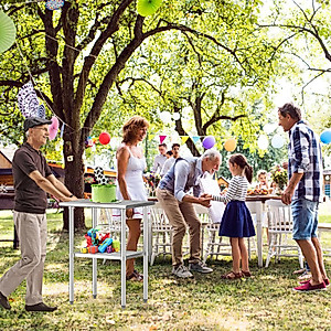 YBLFDY 24x30 Stainless Steel Table with Wheels and Adjustable Feet for Home Kitchen NSF Stainless Steel Prep Table,Metal Table with Undershelf for Garden
