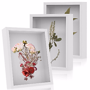 Shadow Box Frame Display Cases 8x10 - 3 Pack Deep Shadowbox Picture Frame with Galss 3D Display Wood Shadow Box Frame with Line Board