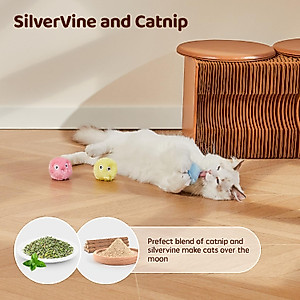 Potaroma Chirping Cat Toys Balls with SilverVine Catnip, Upgraded, 3 Pack Fluffy Interactive Cat Kicker, 3 Lifelike Animal Sounds, Kitty Kitten Catnip Exercise Toys