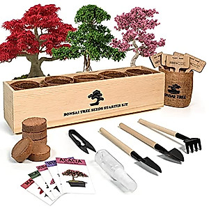 Meekear Bonsai Tree Kit with Complete Growing Starter Kit, Great Potted Growing DIY Gift for Adults