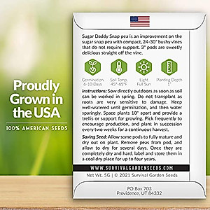 Survival Garden Seeds - Sugar Daddy Snap Pea Seed for Planting - 2 Packs with Instructions to Plant and Grow in Delicious Pea Pods Your Home Vegetable Garden - Non-GMO Heirloom Variety