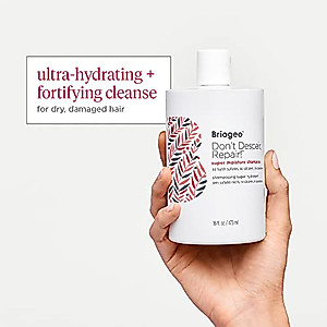 Briogeo Don't Despair, Repair! Super Moisture Shampoo, Dry Damaged Hair, Hair Shampoo with Argan Oil for Hair, Hair Moisturizer Hair Treatment, Protein Shampoo, Vegan, Cruelty-Free, 16 fl oz