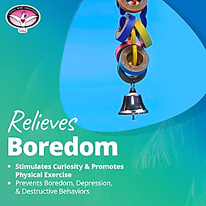 Super Bird Creations SB626 Hoopla Bird Toy, Medium/Large Bird Size, 15" x 2.5"