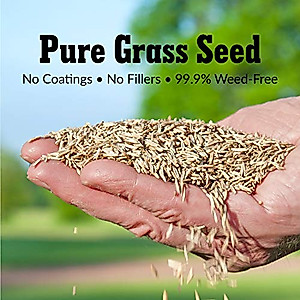 GreenView Fairway Formula Grass Seed Kentucky Bluegrass Blend - 3 lb. Bag