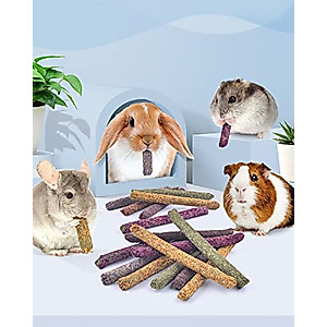 Bissap 36PCS Bunny Chew Sticks, Mixed Natural Timothy Hay Carrot Purple Potato Flowers Rabbit Treats for Bunny Chinchilla Guinea Pig Hamster and Other Small Animals Molar Snack Toy