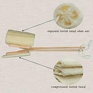 Natural Exfoliating Loofah Luffa Loofa Back Sponge Scrubber Brush with Long Wooden Handle Stick Holder Body Shower Bath Spa Pack of 2