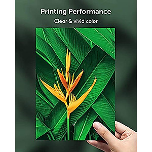 JAR-JAR-BO 245XL Remanufactured Ink Cartridge Replacement for Canon PG-245 PG-245XL PG 243 245XL to Use for Canon PIXMA MX492 MX490 MG2420 MG2520 MG2522 MG2555 MG2920 MG2922 (2 Black)