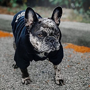 Dog Hoodie,Comfortable Soft Fashion Dog Clothes,Trendy Dog Hoodie,for Small, Medium and Large Dogs (X-Small, Black)