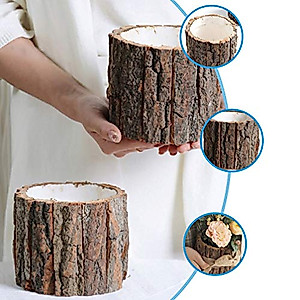 Hemoton Rustic Succulent Planters Cactus Plant Pots Wood Tree Driftwood Trunk Stump Planter Pot Herbs Cactus Bonsai Container for Home and Office Decoration