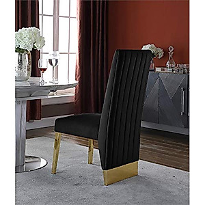 Meridian Furniture Porsha Collection Modern | Contemporary Dining Chair with Deep Channel Tufted Back and Sturdy Metal Legs, Set of 2, 19.5" W x 27" D x 42" H, Black Velvet Upholstered