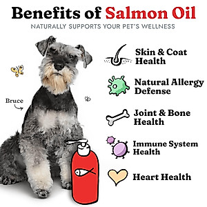 Salmon Oil for Dogs & Cats - Healthy Skin & Coat, Fish Oil, Omega 3 EPA DHA, Liquid Food Supplement for Pets, Supports Joint & Bone Health, Natural Allergy & Inflammation Defense, 16 oz