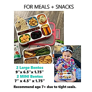 kinsho Bento Box Lunch Boxes and Snack Containers, Value Pack for Kids Girls Boys | Leakproof Portion Boxes for School Pre-School Toddler Daycare Travel, BPA Free | Set of 4, Pink Purple