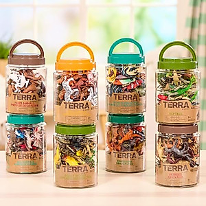 Terra by Battat – Toy Tropical Fish & Crabs – 60 Mini Figures in 12 Realistic Designs – Tropical Sea Animals in Storage Tube – Realistic Figurines for Sensory Bin – Tropical Fish World – 3 Years +