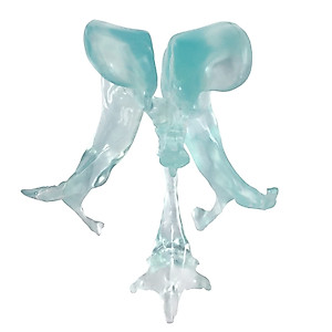 BXQQ Human Brain Ventricles Model, Enlarged Anatomical Model of Central Nerve of Amygdala and Thalamus in Ventricle