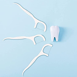 LEEGAWU Dental Floss Travel Floss Professional Toothpicks Sticks Dental Floss Picks Flossers with Travel Case Superfine Floss Picks Dental Picks for Teeth Cleaning (300count)