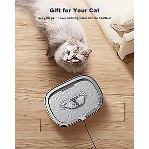 Cat Water Fountain Stainless Steel: 3.2L/108oz Pet Fountain Water Bowl Automatic Drinking Dispenser Cat Feeding & Watering Supplies, Ultra-Quiet Pump & Replacement Filter for Cats Inside(Navy)