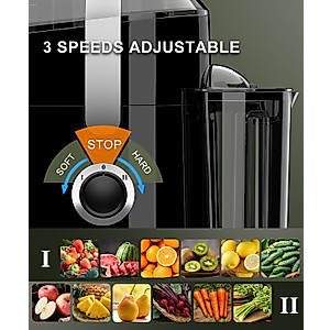 Juicer Machine, 800W Juicer with Larger 3" Feed Chute Full Copper Motor Centrifugal Juicer Dual Speeds, Titanium-Plated Filter, Easy to Clean BPA-Free Black