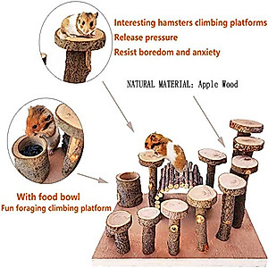 Wooden Hamster Platform Toy Chinchilla Activity Playground Stand Ladder Guinea Pigs Hideout Set Bridge Ramps Chew Toys for Mouse Dwarf Hamster Gerbil Rat Sugar Glider Syrian Hamster Small Animals