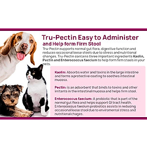 Tru-Pectin Anti-Diarrheal for Dogs & Cats, 250 Tablets– Chicken Liver Flavor –Helps Reduce Occasional Loose Stool & Diarrhea, Balance Gut pH, Support Normal Digestion & Gut Flora -Made in USA